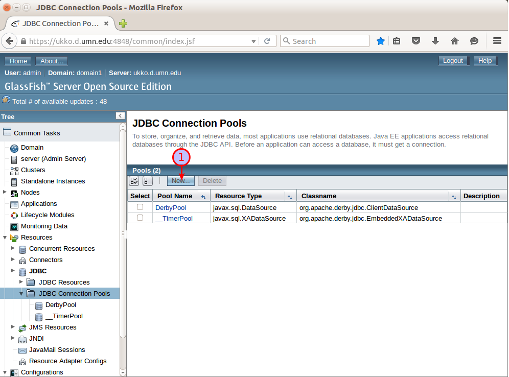GlassFish Administration