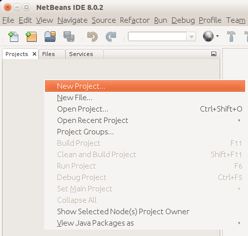 Create a New JSF Project