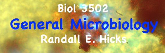 Biol 4501 - General Microbiology